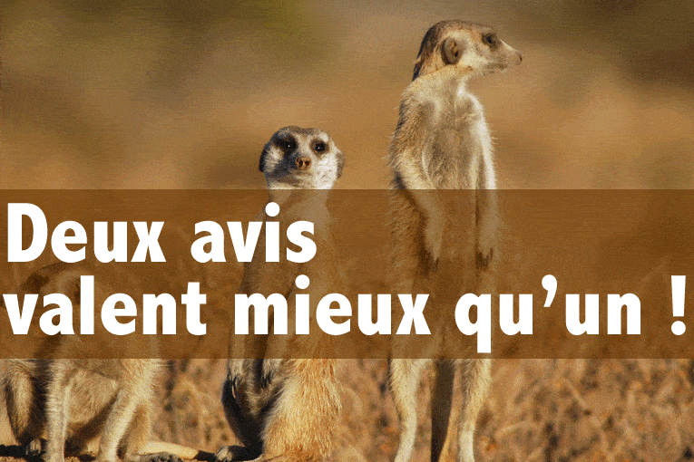 Il est temps que nous nous parlions ! Consacrez-nous 5 minutes.